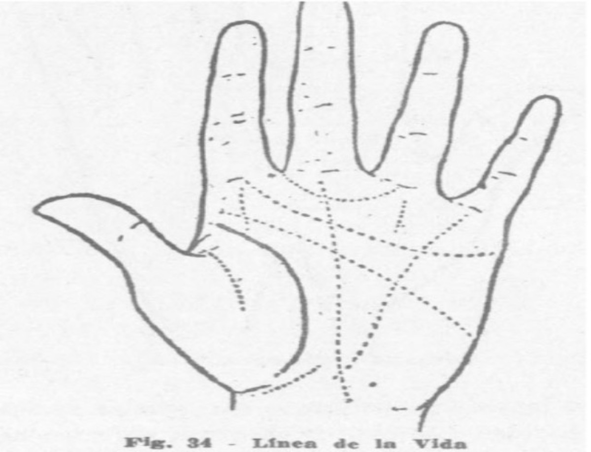 Cómo leer la mano paso a paso